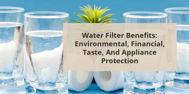 Water Filter Benefits: Environmental, Financial, Taste, and Appliance ...