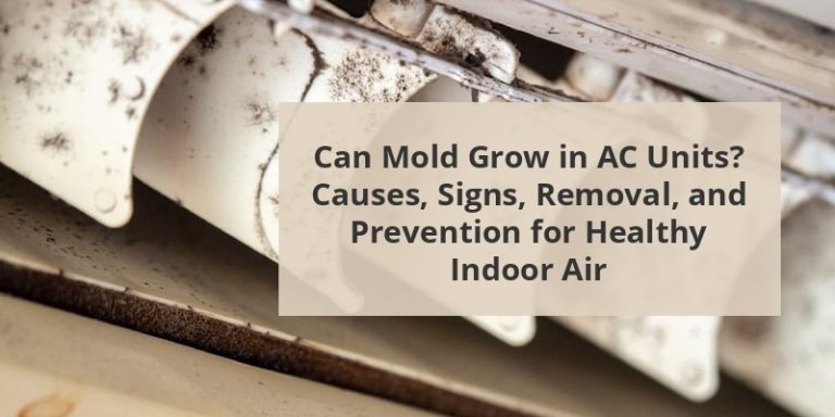 Can Mold Grow In AC Units? Causes, Signs, Removal, And Prevention For ...