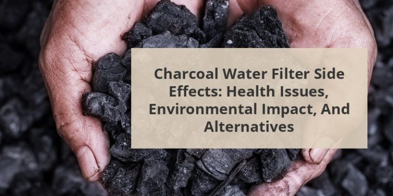 Charcoal Water Filter Side Effects: Health Issues, Environmental Impact ...
