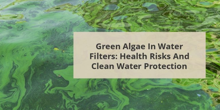 Green Algae in Water Filters: Health Risks and Clean Water Protection ...
