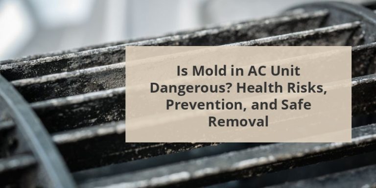 Is Mold In AC Unit Dangerous? Health Risks, Prevention, And Safe ...