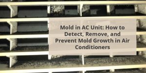 Mold In AC Unit: How To Detect, Remove, And Prevent Mold Growth In Air ...