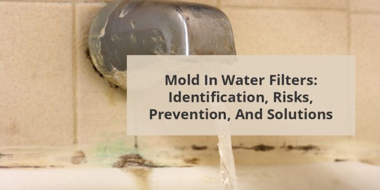 Mold in Water Filters: Identification, Risks, Prevention, and Solutions ...