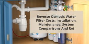 Reverse Osmosis Water Filter Costs: Installation, Maintenance, System ...