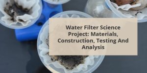 Water Filter Science Project: Materials, Construction, Testing and ...